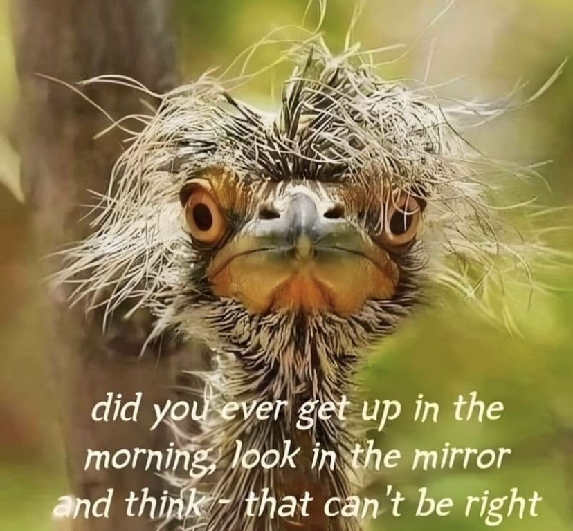 Don’t Judge a Book by its Cover: Renew Your Resolution – LOVE FIRST ...